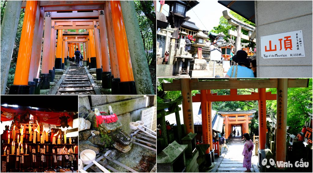KYOTO CÓ GÌ: 05 ĐIỂM PHẢI ĐẾN Ở KYOTO | Travel Blogger VINH GẤU